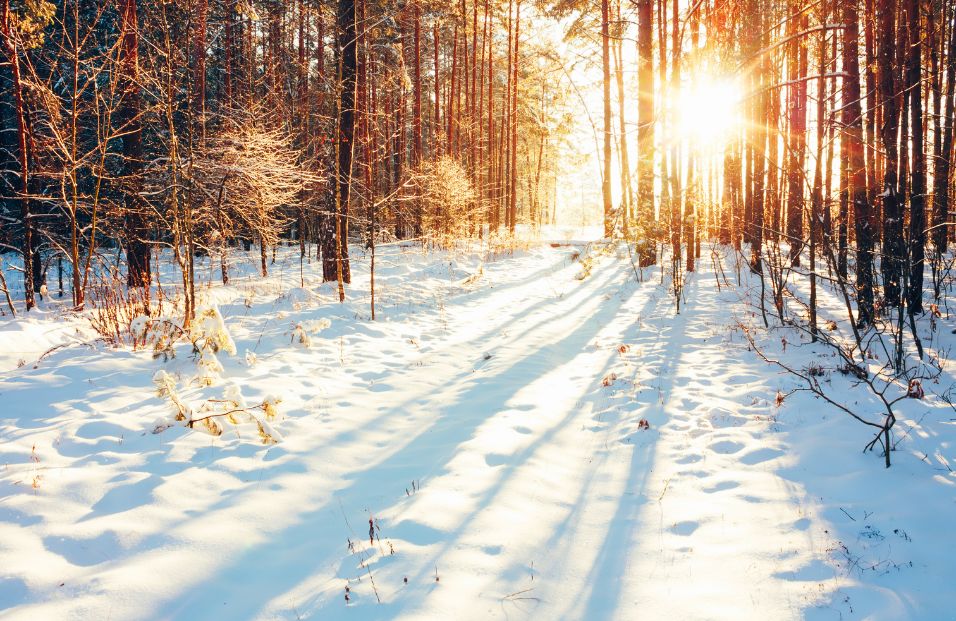Solar lighting in winter: performance put to the test by the cold ...